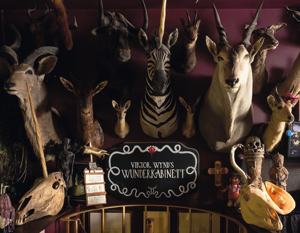 The Unnatural History Museum - Trebuchet